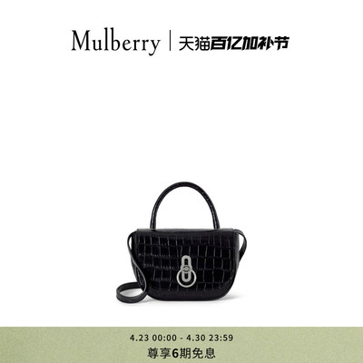 MulberryAmberley小号手提包