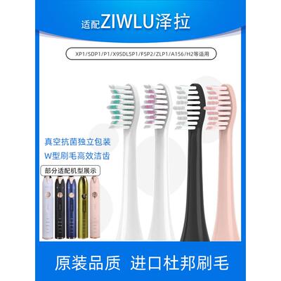 适配日本ziwlu泽拉电动牙刷刷头P1/X9/SDlSP1/FSP2通用清洁款替换