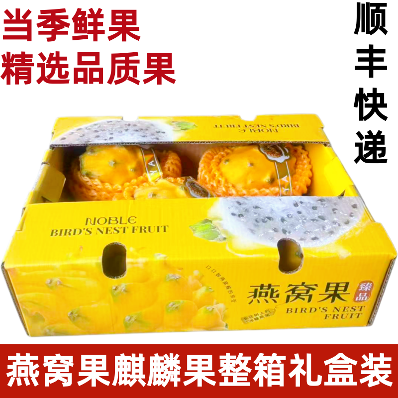 燕窝果麒麟果当季热带特产水果黄皮火龙果时令新鲜甜蜜多汁包邮