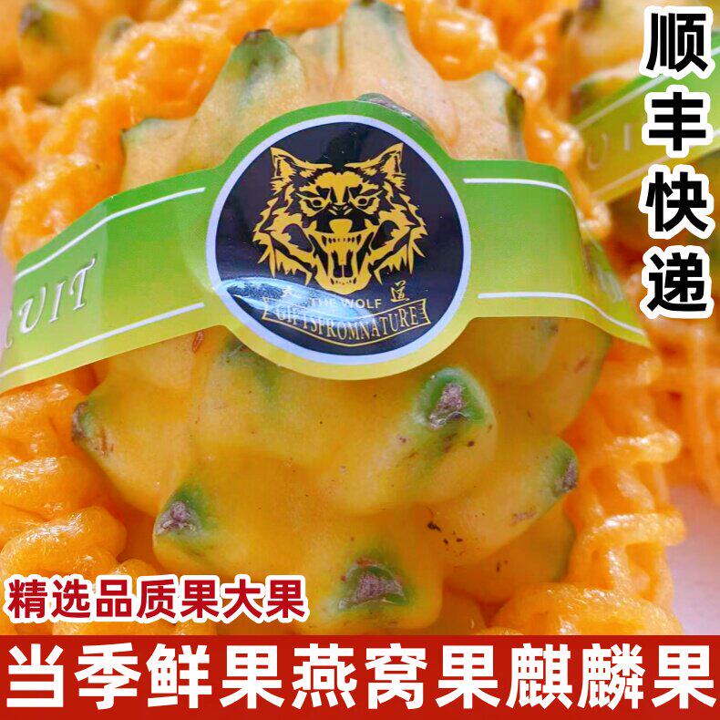 燕窝果麒麟果当季热带特产水果黄皮火龙果时令新鲜甜蜜多汁包邮