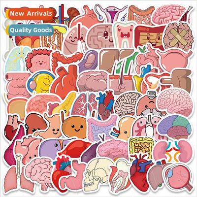 65 cartoon human body organs stickers luggage laptop cell ph