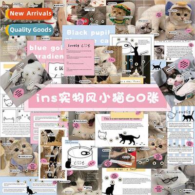 60 pcs of Korean physical wind kitten stickers ins wind cute