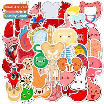 50 cute human organs stickers decoupage learning cartoon hum