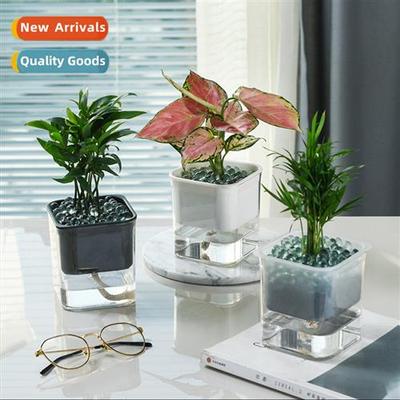Transparent visible lazy green automatic watering free water