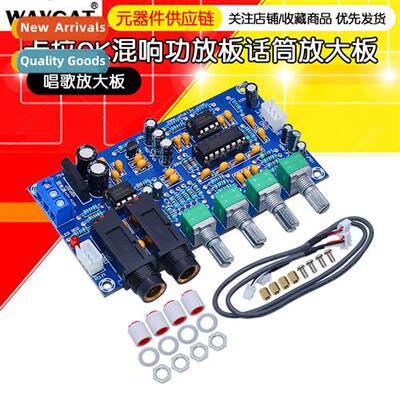Karaoke board K sg reverb board Microphe amplifier board Sin