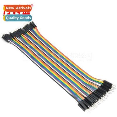 Color cable 40P Dupt cable Male to male Double 1P 20CM lg