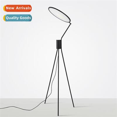 Scinavian modern minimalist light luxury study floor lamp ar