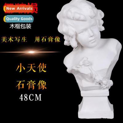 Brt plaster statue angel head educatial delivery sketching s