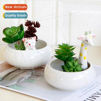 Creative cute ceramic succulent plant pots desktop ornaments