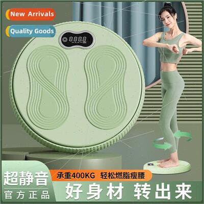 Home fness equipment twisting disk fat loss slimming intelli