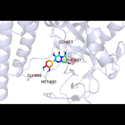 转录组分析LncRNA 长链非编码RNA 功能预测 机制研究