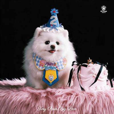 宠物生日蛋糕派对围兜帽子套装