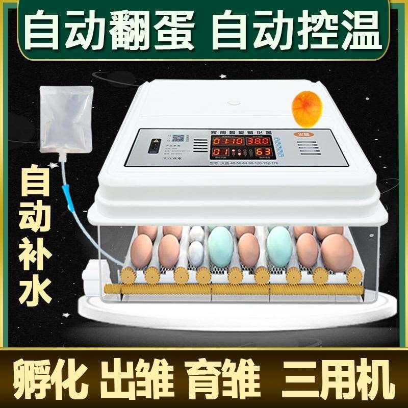全自动中小型家用孵化鸡鸭鹅鹌鹑鸽子鸟蛋等孵化器孵化机孵化设备