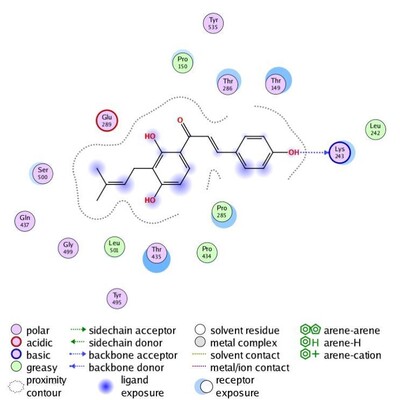 Discovery studio/MOE分子对接 blast序列比对