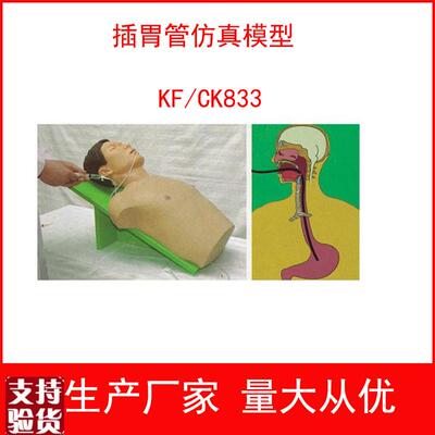 插胃管仿真模型胃灌洗操作训A练模型胃肠减压术胃液采集术模型