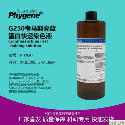 考马斯亮蓝快速染色液G250染色液100mLf/500mL电泳专用PHYGENE