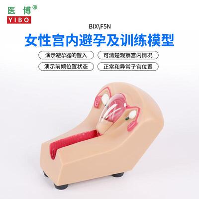 医博BIX-F5N女性宫内避孕器训练模型子宫生殖器官教学模具上环J取