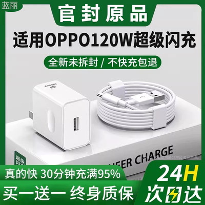 120W适用Oreno8/95真我GT