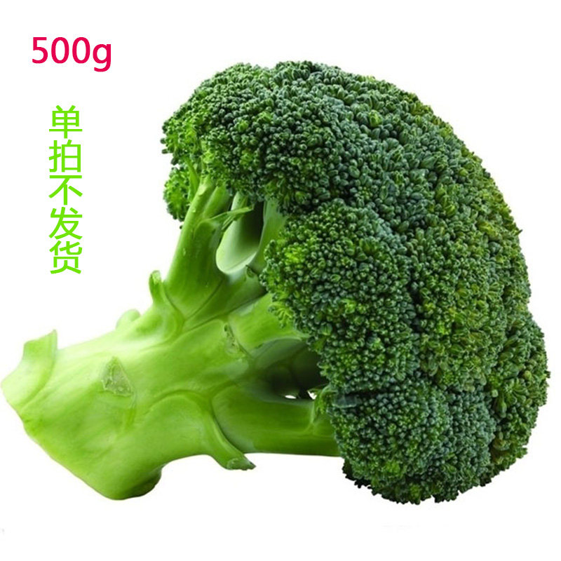 顺丰直达 崇明新鲜西兰花绿花菜花椰菜沙拉配菜 天然不打药