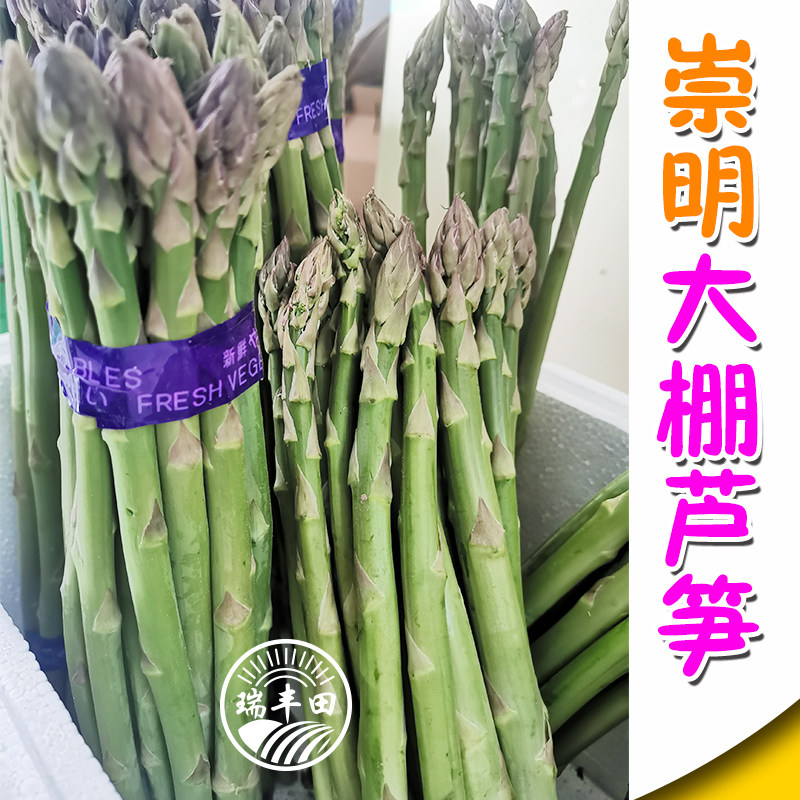 上海崇明本地新鲜芦笋 现摘现发 顺丰到家