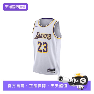 【自营】nike耐克勒布朗·詹姆斯篮球背心男子速干球衣DN2081-103