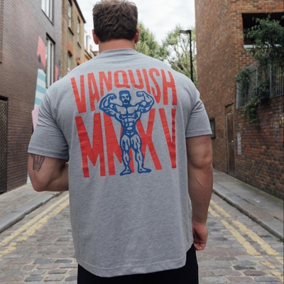 换季清仓特英国VANQUISH MMXV VQ运动休闲宽松弹性棉圆领短袖F1