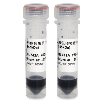 彩色预染蛋白Marker（5-245kDa）
