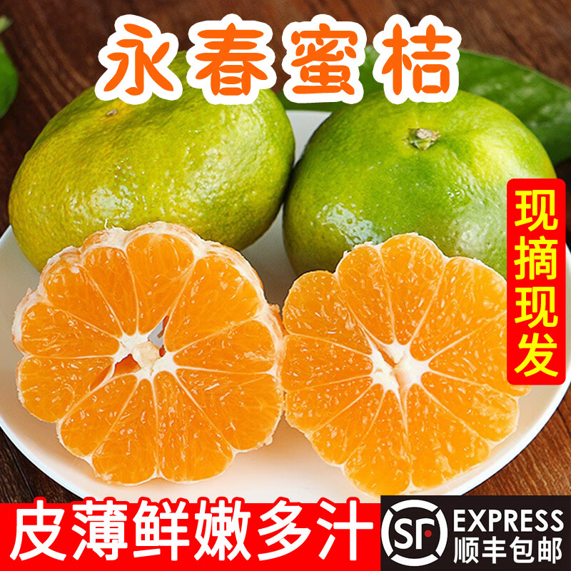 万春寨永春蜜桔礼盒装新鲜水果橘子青皮桔子无籽现摘皮薄多汁蜜橘
