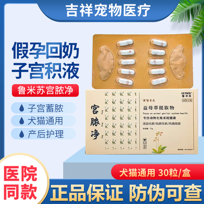 宫脓清宠物猫咪狗子宫蓄脓感染内膜炎子宫积液恶露流血假孕宫脓净