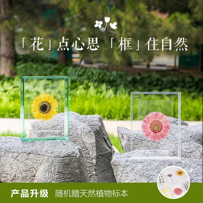 LittlenookDIY悬浮亚克力相框