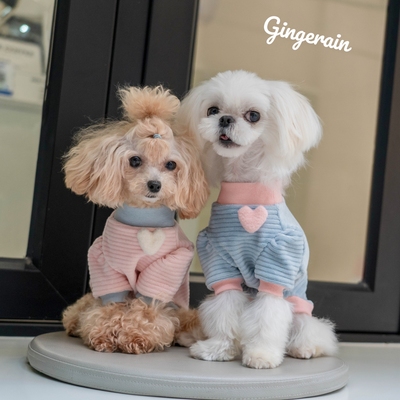 加绒棉质卫衣GINGERAIN小型犬