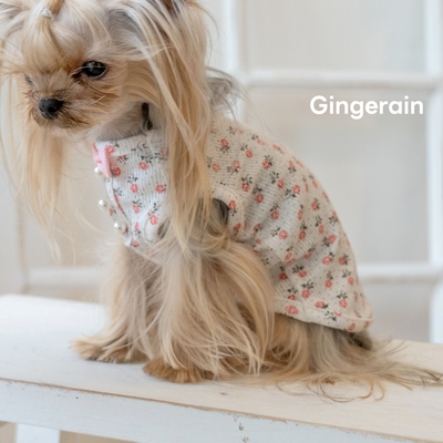 GINGERAIN 小型犬衣服泰迪马尔济斯约克夏比熊纯棉小珍珠透气背心