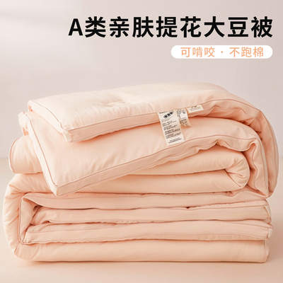 新款A类提花云感睡眠立体大豆被