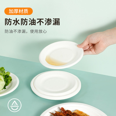 宜洁一次性纸盘餐盘蛋糕盘手工画画果盘子10只装9720/9718/9719