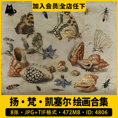 扬 梵 凯塞尔Jan van Kessel油画合集电子版8幅图片风景静物素材