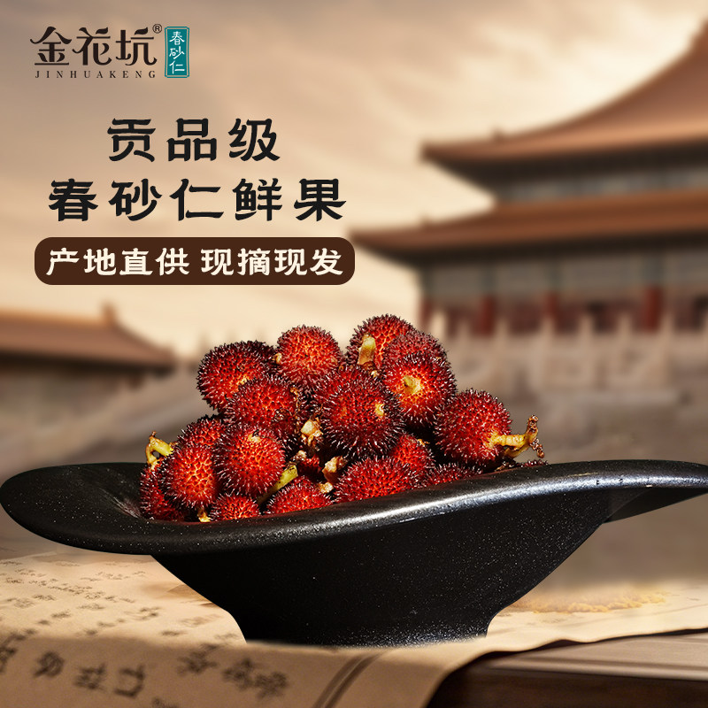 道地原产地金花坑阳春砂仁鲜果 阳春特产 浸包蜂蜜 顺丰包邮 500g