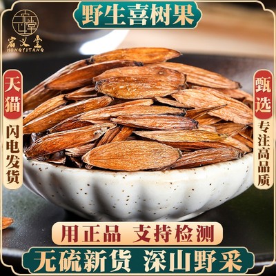 野生喜树果新货正品无硫中药材