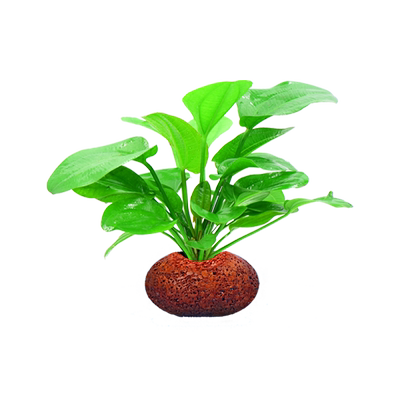 水草植物鱼缸造景火山石真草