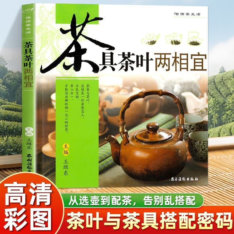 茶具茶叶两相宜 图文详解茶具与茶叶的适配之道 通俗易懂的茶文化系统拆解六大茶类适配茶具的搭配逻辑告别盲目混搭
