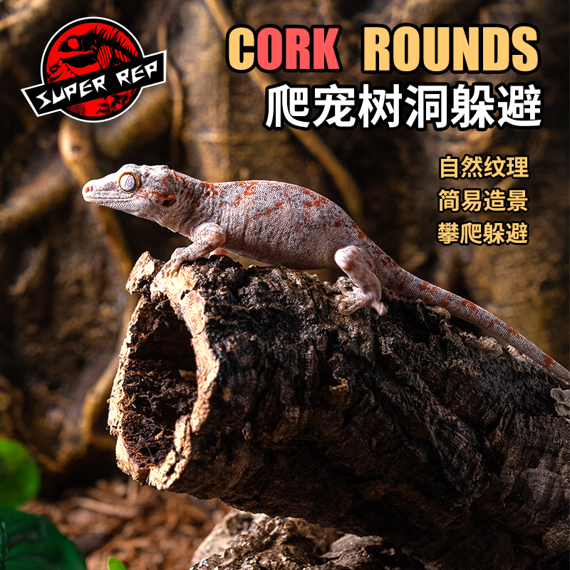 SuperRep爬虫天然软木树洞躲避爬宠睫角守宫龟蜥蜴树蛙蛇造景洞穴