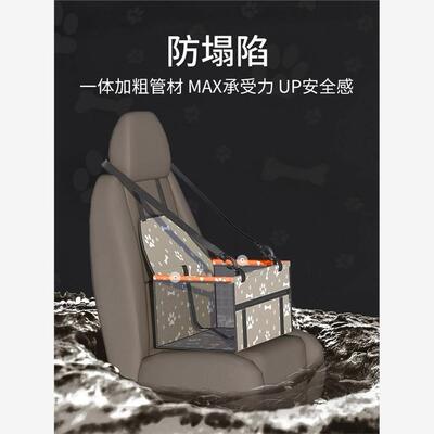 dogcarushioneatpfykl