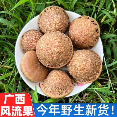 风流果500g正品泡酒煲汤马古叠胖头果广西野生石头果厚麟柯无硫