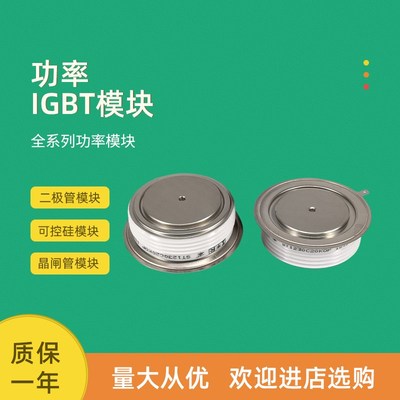 平板可控硅晶闸管T920N06TOFr T920N04TOF T920N02TOF T1080N06TO
