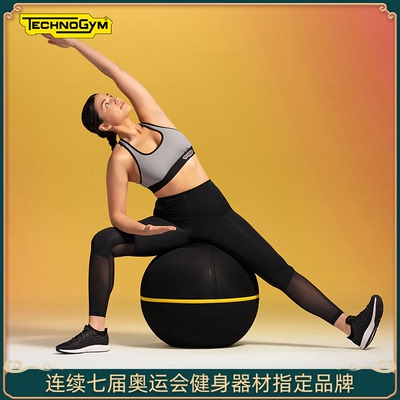 泰诺健坐姿瑜伽球平衡稳定健身