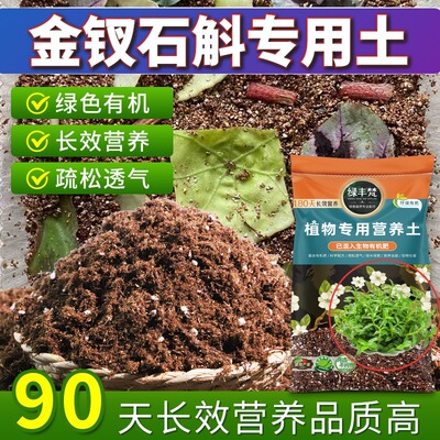 金钗石斛适用配方土富含有机质花园种植土精选平衡土质试用装多肉