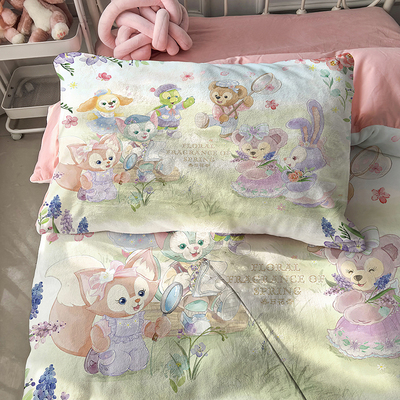 儿童牛奶绒枕套宝宝幼儿园小枕头套子秋冬季卡通可爱加绒30x50cm