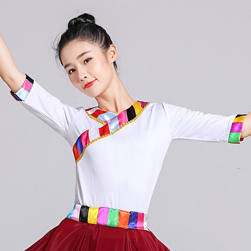 新款藏族舞蹈演出服装舞蹈裙女少数民族服装成人西藏广场舞表演服