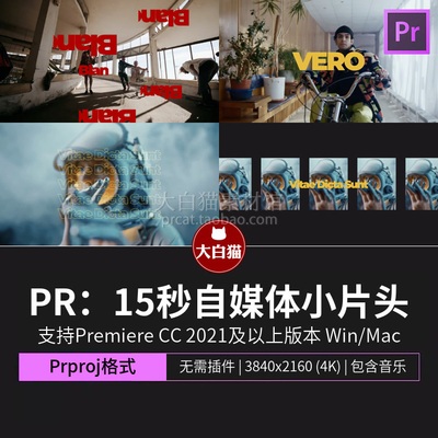 pr片头模板 快节奏卡点快闪15秒自媒体短视频小片头pr动画