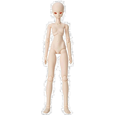 【日本直邮】Obitsu女体人偶ABS&POM&软塑料制50BD-F01W-G 50cm