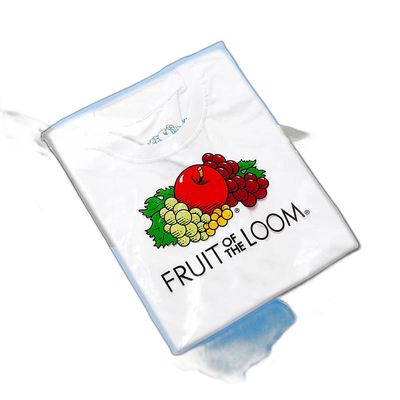 日本直邮HOMBRE NINO FRUIT OF THE LOOM 2PACK TEE 渐变色 T恤